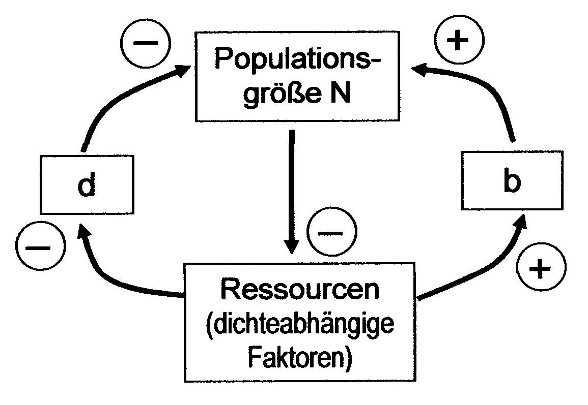 Materialien Oberstufe G8 | www.bio-nickl.de
